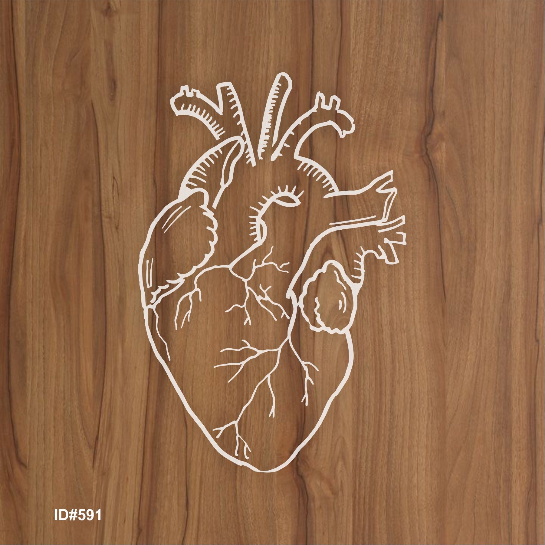 Simple Anatomical Heart Stencil
